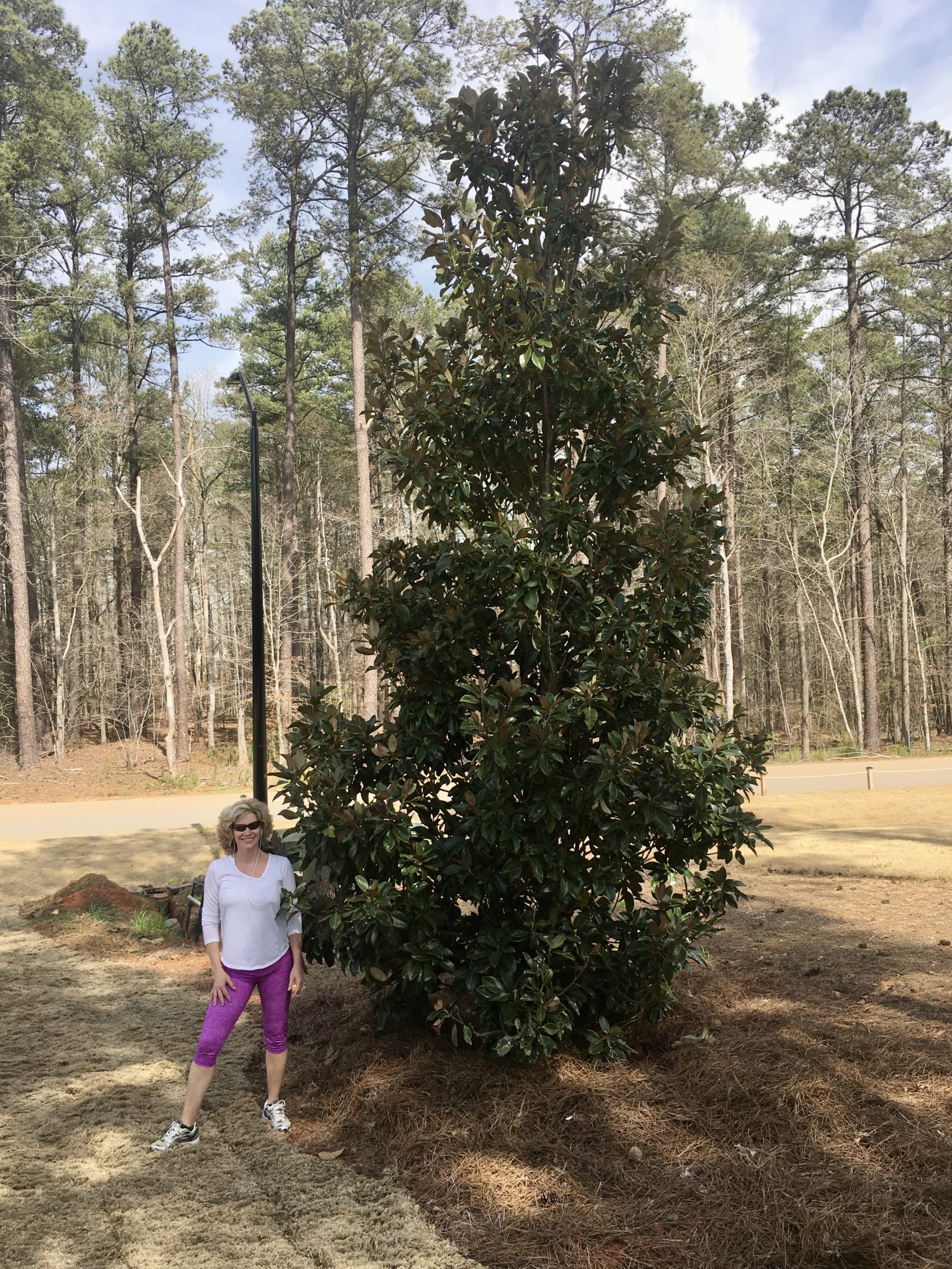 Claudia Southern Magnolia