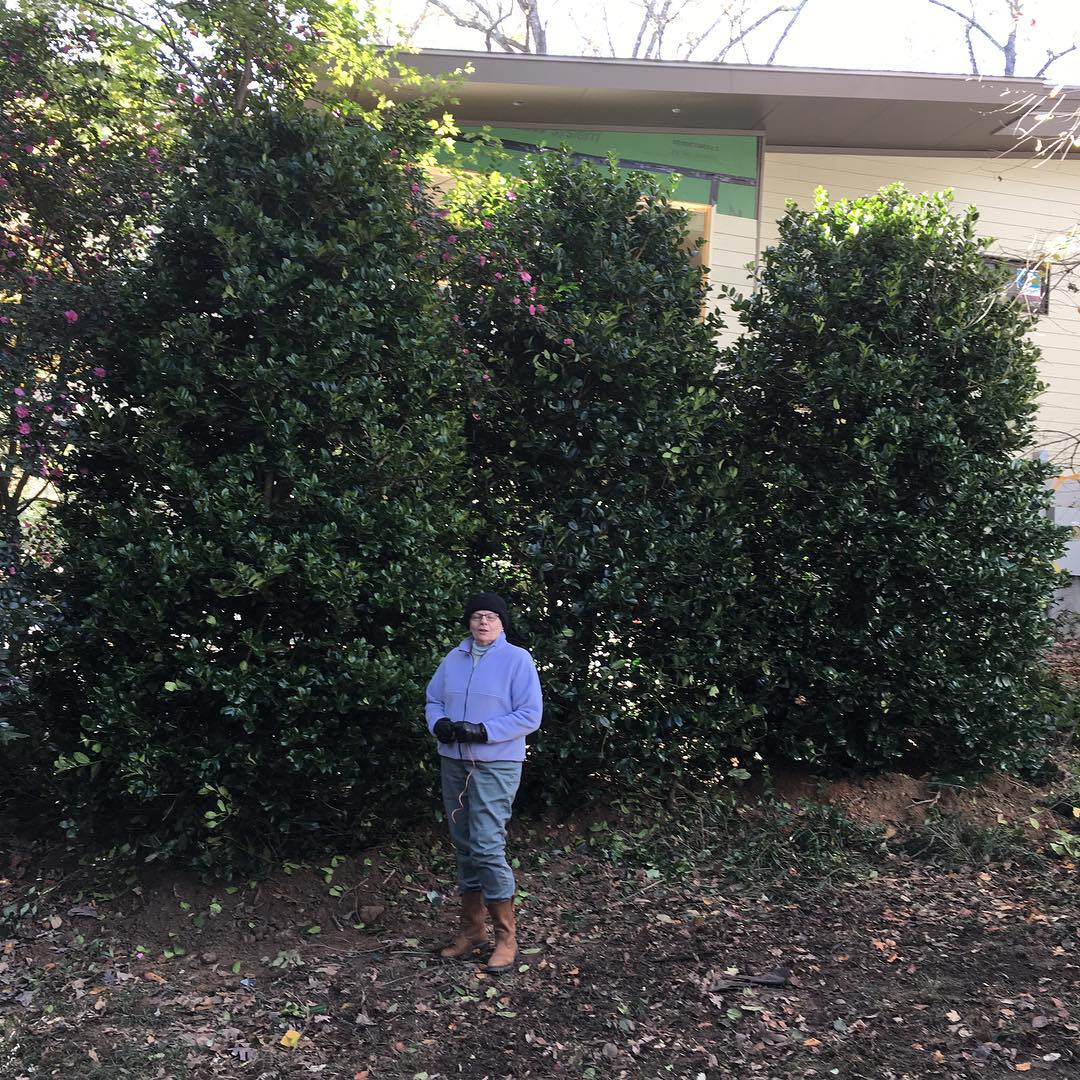 Ornamental & Flowering Trees - Home & Garden Landscapes